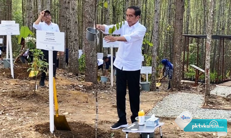 PKTV Kaltim - Pengembangan Miniatur Hutan Hujan Tropis Di Kawasan IKN